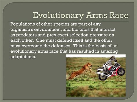 What Is An Example Of A Evolutionary Arms Race At Daniel Shears Blog