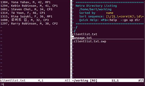Vim
