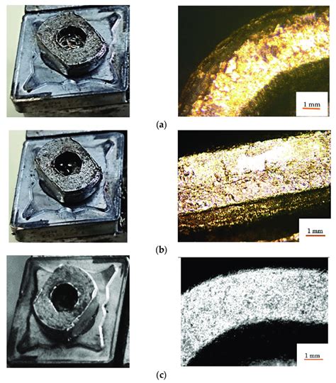 Deposits Of Processed Material On The Tool Edge A For Tool V01 Download Scientific Diagram