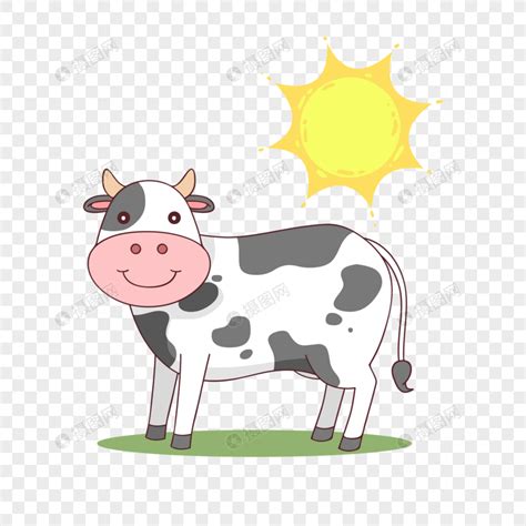 소 이미지 사진 401733513 무료 다운로드