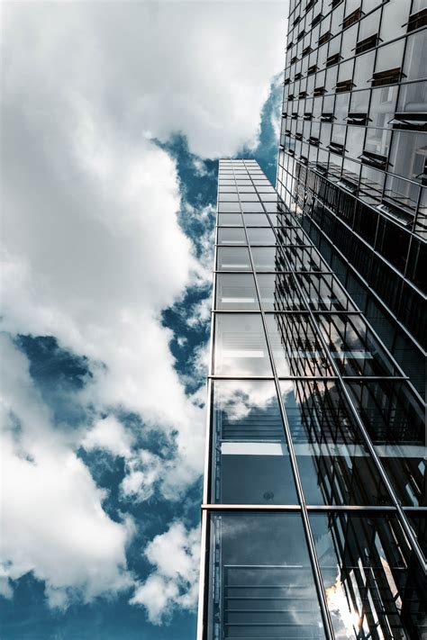 The Role Of Technology In Forex Trading Automation And Algorithmic