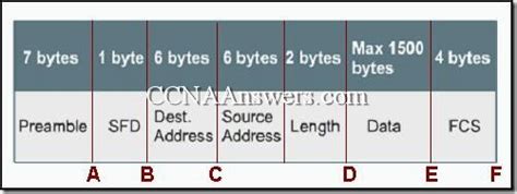 Ccna Module V Answers