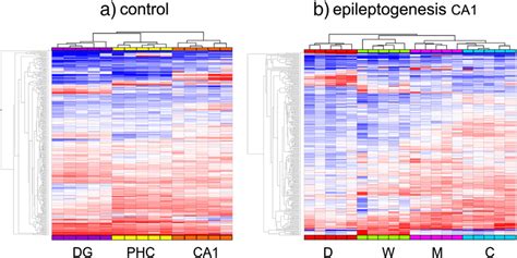 a the heat maps show the result of two way hierarchical clustering of