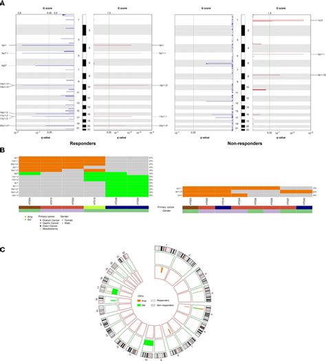 Comparison Of Copy Number Variation Between Responders And Download Scientific Diagram