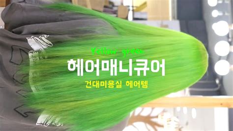 초록초록한 여름 연두색염색 헤어매니큐어 염색추천 건대미용실 Youtube