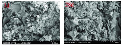 Results Of The Cement Sample Sem For Different Ages Download