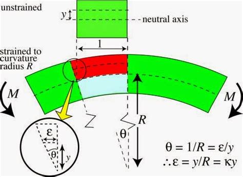 The Elastic Bending Effect