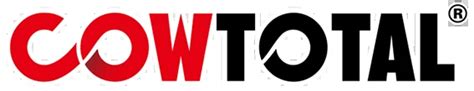 Ignition Coil Vs Spark Plug Key Differences Explained Cowtotal