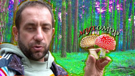 моя правда про МУХОМОРИ - YouTube