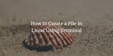 如何使用终端在 Linux 中创建文件