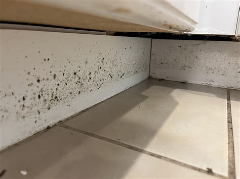 Are These Roach Poop Smears On The Wall Found These Under Kitchen