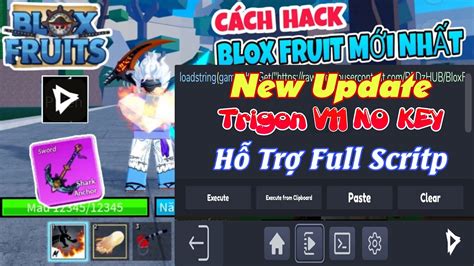 H Ng D N Get Key Clien Trigon V I Hack Blox Fruits Tr N I N