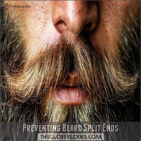 Beard Split Ends Killer Natural Tips For Smooth Healthy Beard
