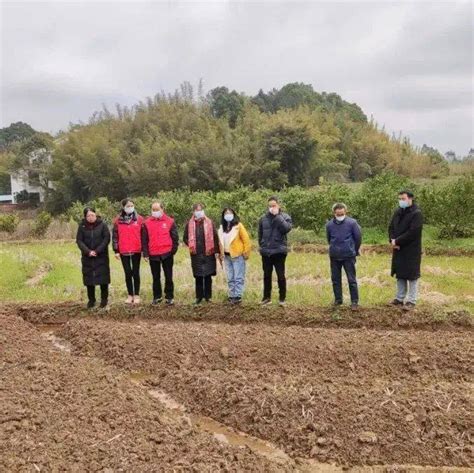 仁化县举办地膜花生种植技术培训班农技进行了信息