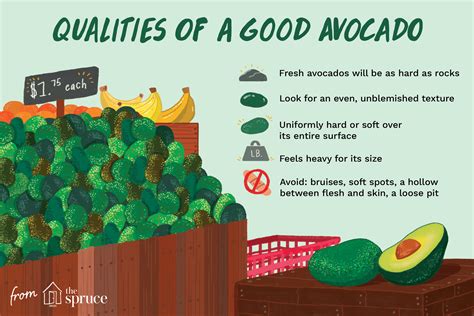 The Best Way To Store And Preserve Avocados