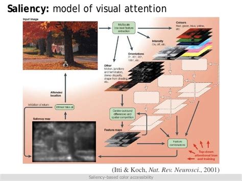 Saliency Based Color Accessibility