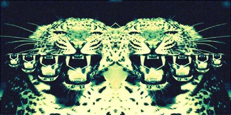 11 Reasons Animalistic Sex Is The Best Sex Ever With S Yourtango