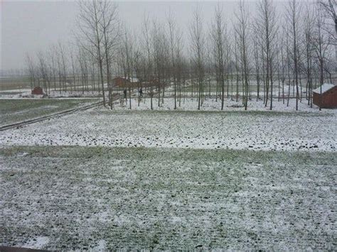 老家印象 村莊的雪 每日頭條