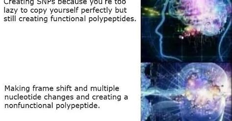 Genetics Meme Album On Imgur