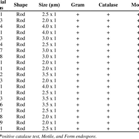 The Morphological And Biochemical Characteristics Of The Isolated