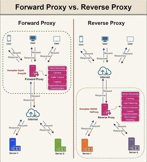 What Is Forward Proxy And Reverse Proxy Piyush Kumar Sahoo Posted On