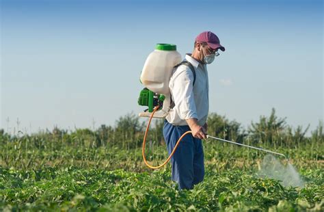 Инсектициды: группы, классы опасности, применение в условиях дачного ...