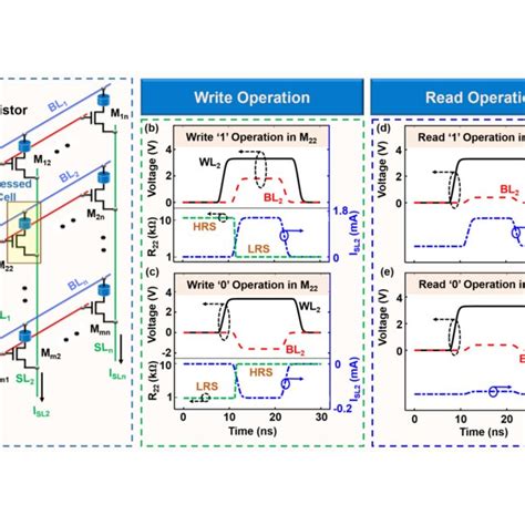 A Schematic Of A 1t1r Array Where We Perform The Write And Read