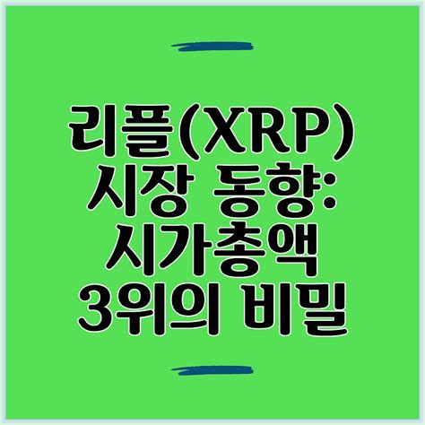 리플xrp 시장 동향 시가총액 3위의 비밀