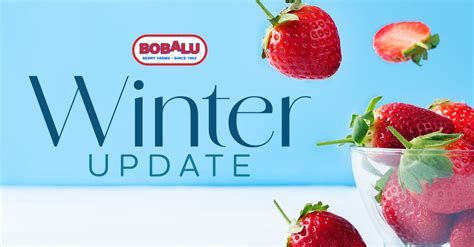 Bobalu Releases Winter Weekly Crop Update Andnowuknow