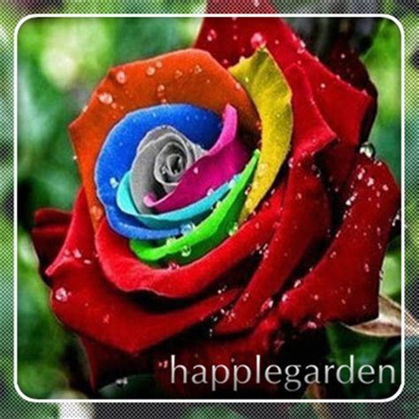 화려한 장미 꽃 Ss 100 개 Aliexpress