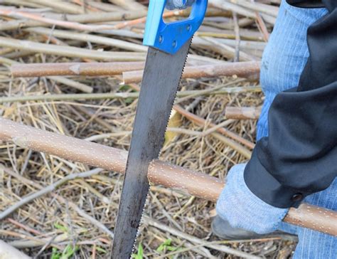 Premium Photo Midsection Of Man Cutting Log On Land