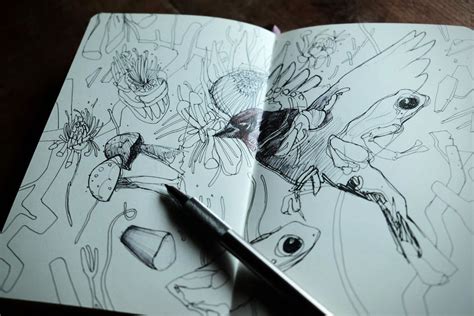 Implied Shapes Key Drawing Tips And Tricks