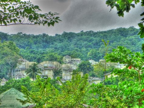 Jared And Alicia Ortner 2010