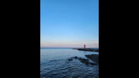 공수마을 귀여운 고양이가족들과 석양이 멋진 동부산 바닷가 풍경 Youtube