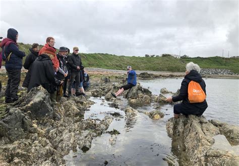 Why You Should Go On A Seaweed Forage Eco Active Social