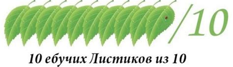 Create Meme Leaf Green Leaf 10 Fucking Leaves Out Of 10 Pictures