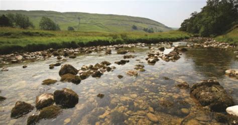Experts To Speak On River Nidd Water Quality In Knaresborough
