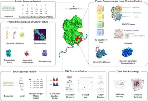 Summary Of Features From Proteins And Rnas As Well As Prior Knowledge