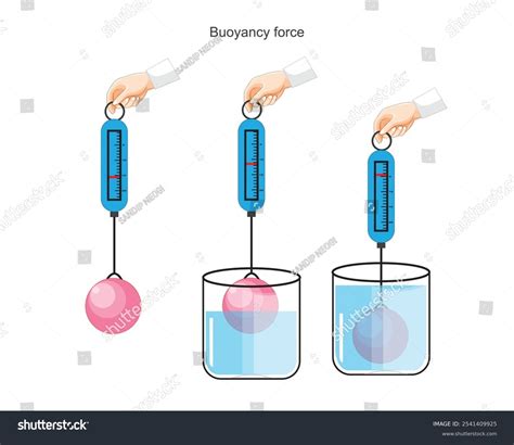 Vector Scheme Archimedes Buoyancy Principle Law Stock Vector Royalty