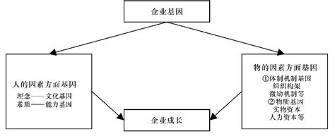 基于基因结构的企业成长影响因素研究： 从“零和竞争”到“正和竞争” 中国社会科学院工业经济研究所