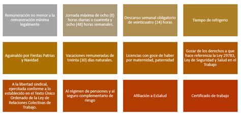 Normas Legales Interesantes Lo Que Debes Saber Sobre El Régimen Cas