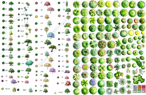 免抠植物彩色平面立面下载【id 1138694096】undefined