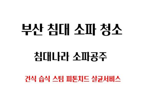 침대 매트리스 청소 건식 습식 진드기 제거 크몽