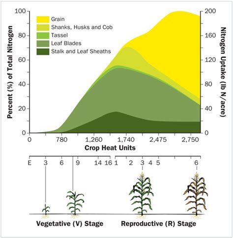 Nitrogen Losses In Saturated Soils Field Crop News