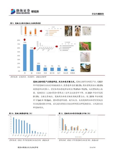 报告分享 宠物行业专题报告：后疫情时代，宠物赛道长坡厚雪报告维宠宠物导航网