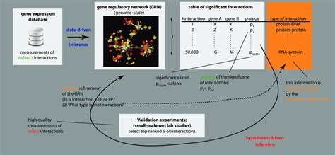 The Figure Illustrates The Process Of Biological Validation Of An Download Scientific Diagram