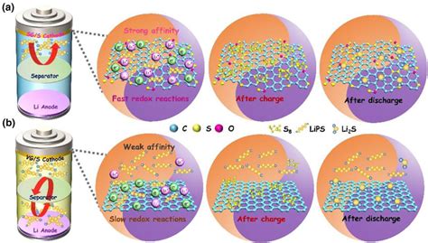 Illustration Of Li S Reaction Scenarios At High Polysulfide