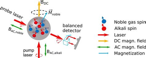 Miniaturized Atomic Gyroscopes Macqsimal