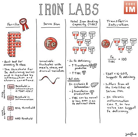 Iron Deficiency Grey Matters Segment Core Im Podcast