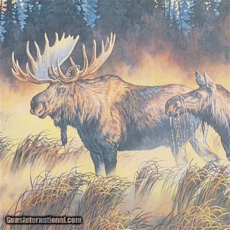 Morning Mist By Michael Melander